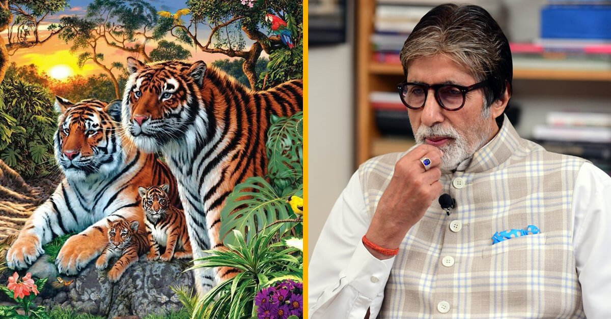 Amitabh Bachchan Spotted 11 Tigers in this Picture | How Many Can You ...